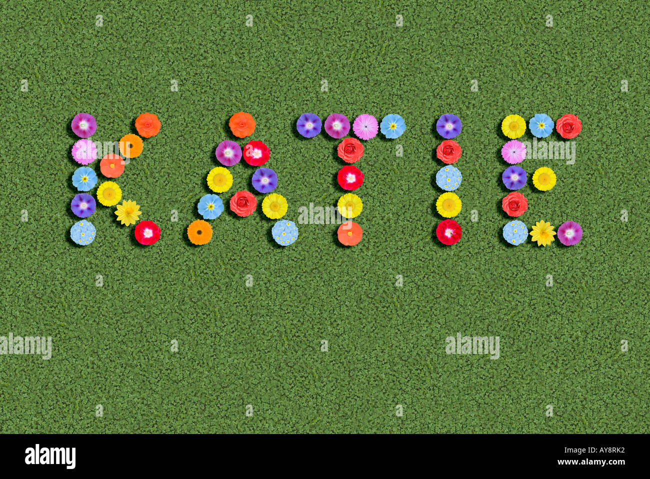 first name girl written illustration Katie Stock Photo - Alamy