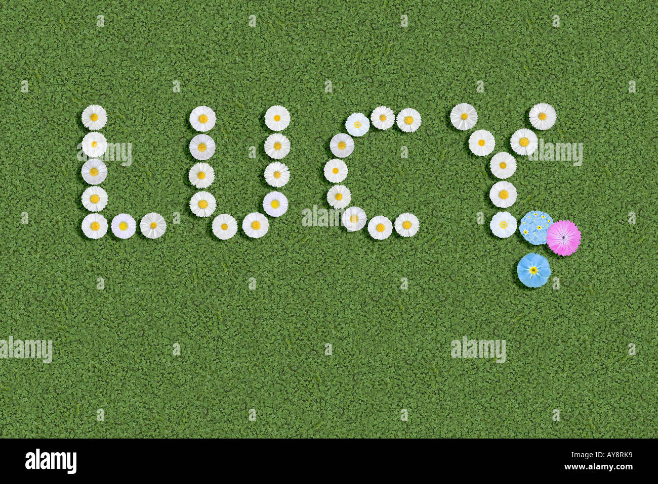 Lucy first name hi-res stock photography and images - Alamy