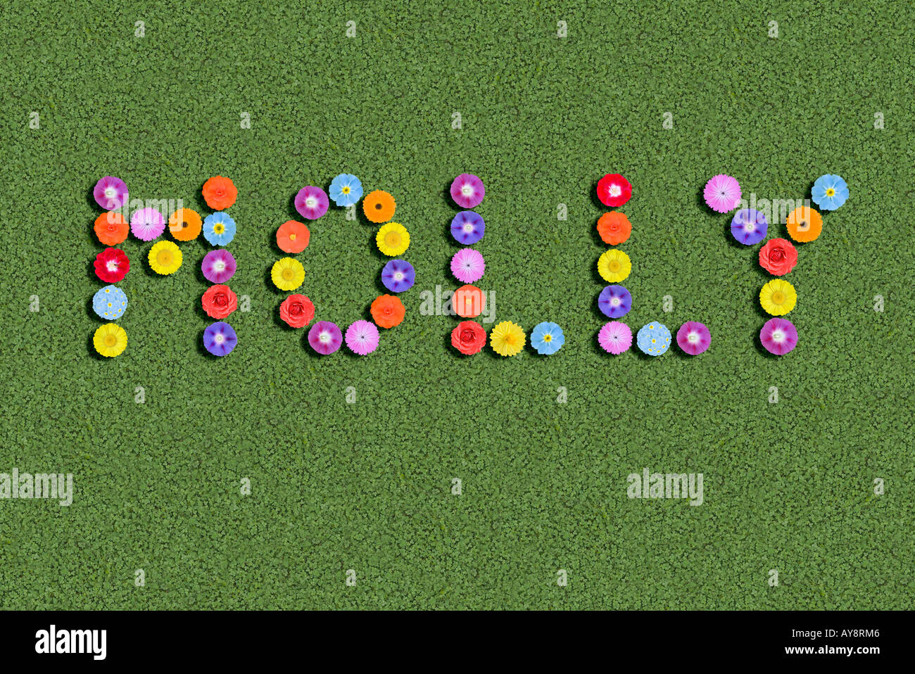 first name girl written illustration Molly Stock Photo - Alamy