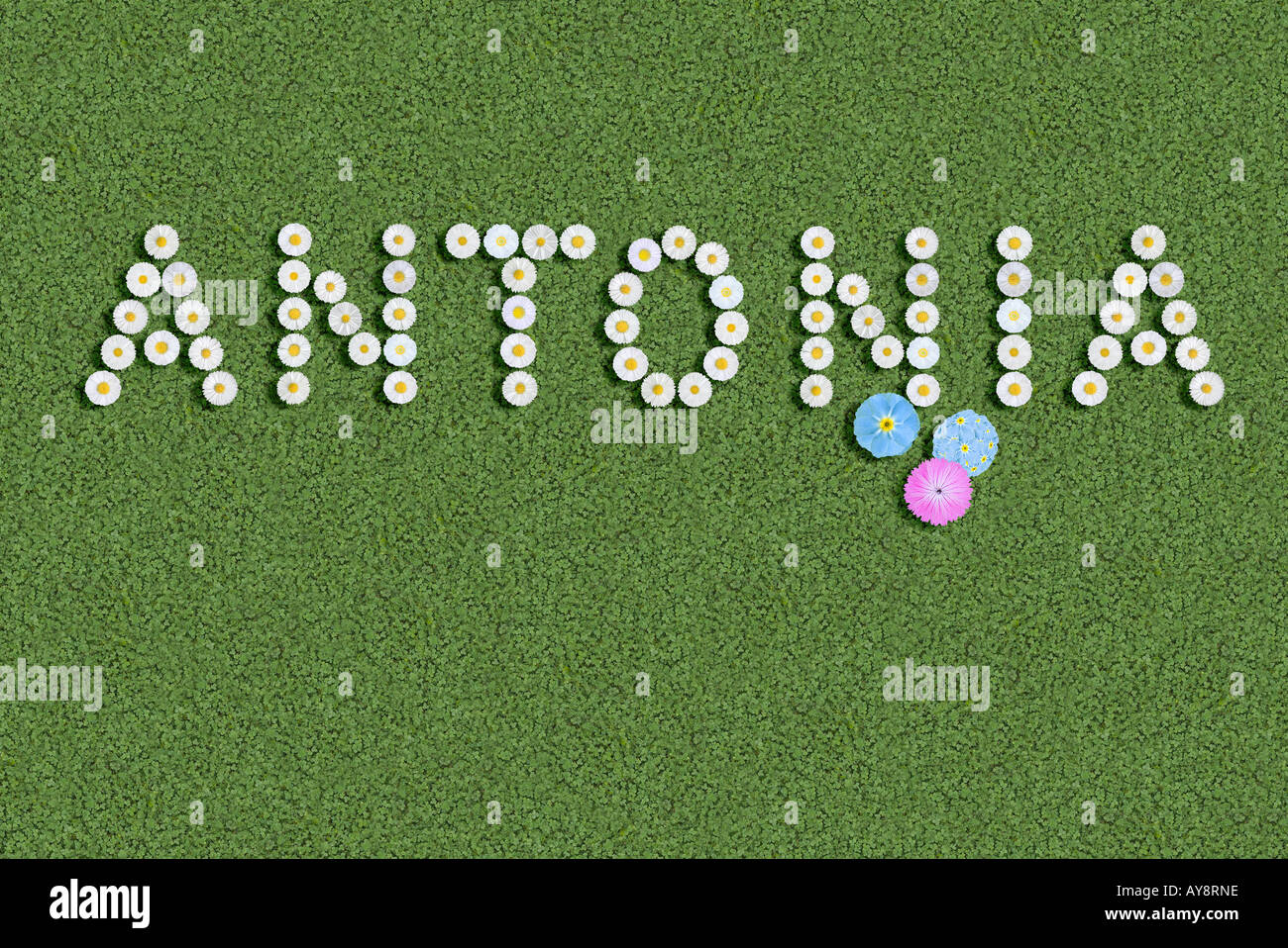Antonia Name