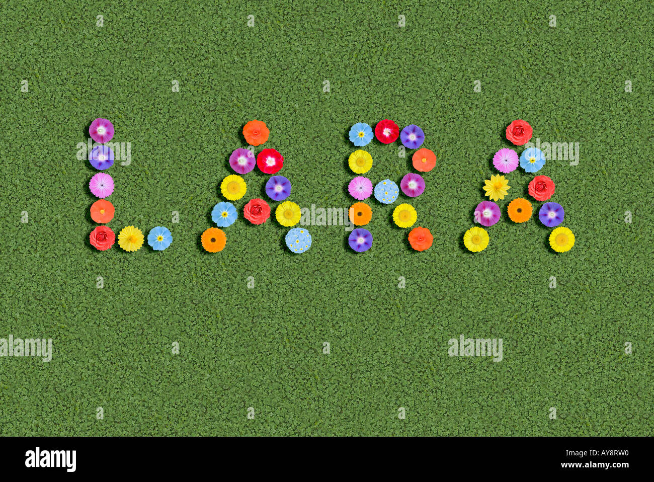 Lara flower hi-res stock photography and images - Alamy