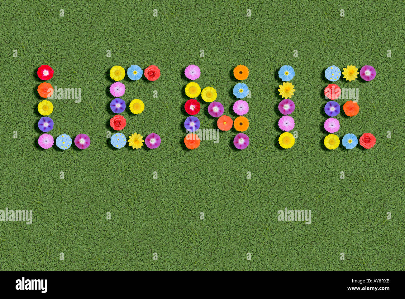 Lenie hi-res stock photography and images - Alamy