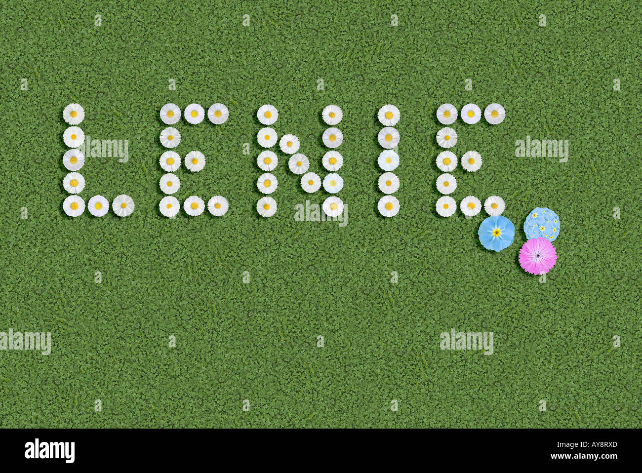 Lenie hi-res stock photography and images - Alamy