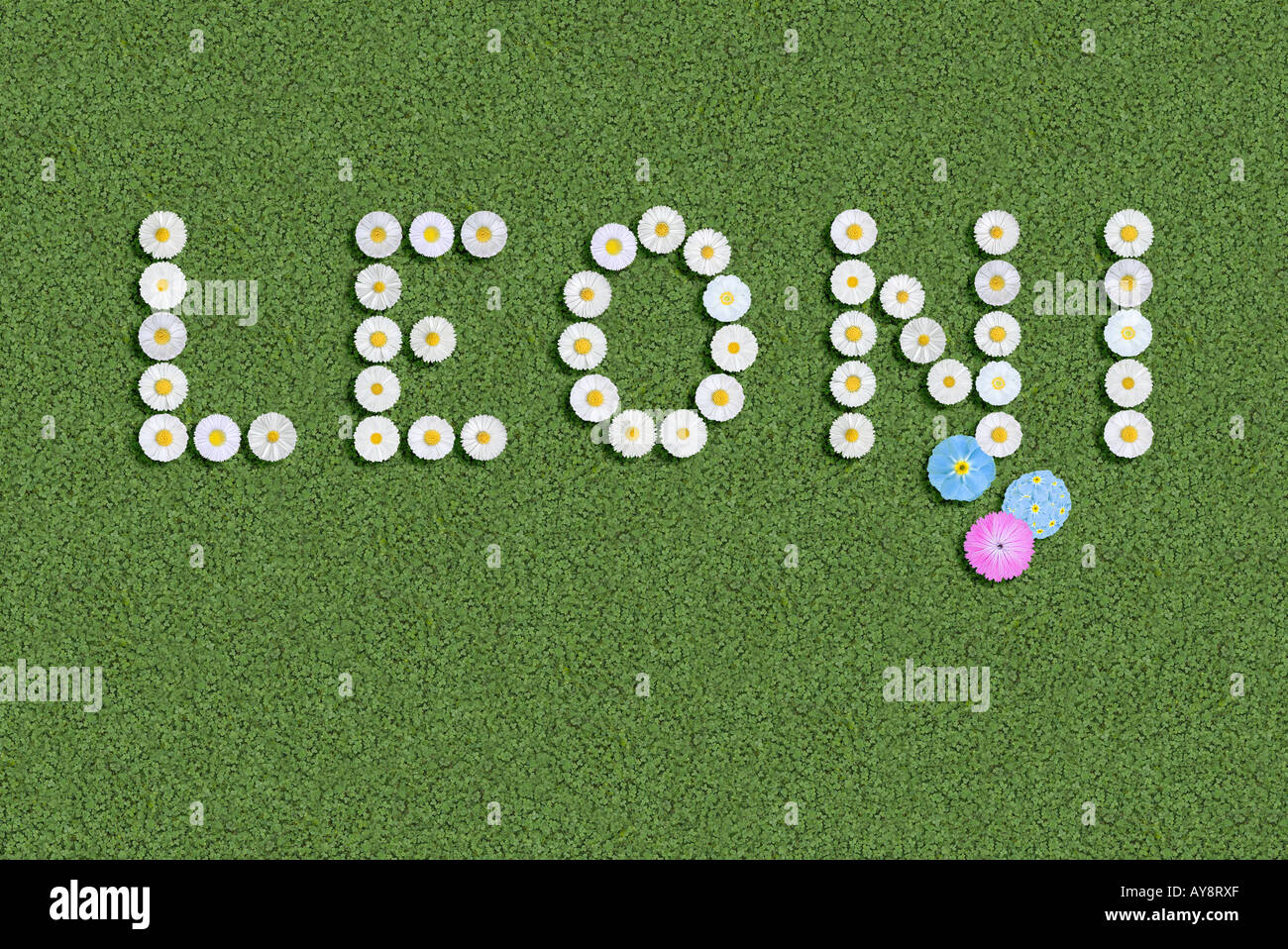 Leoni hi-res stock photography and images - Alamy