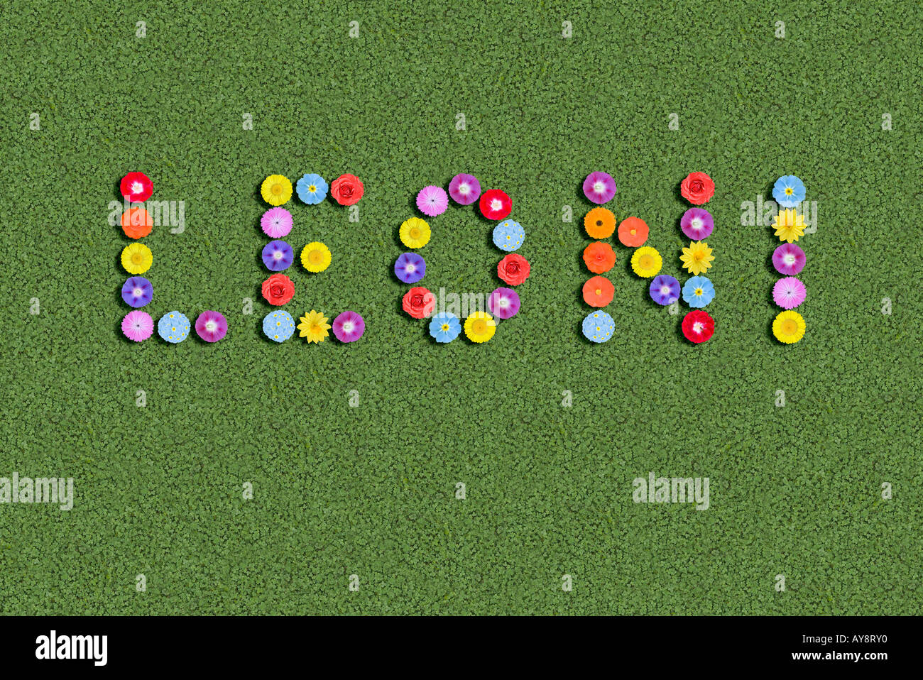 Leoni hi-res stock photography and images - Alamy