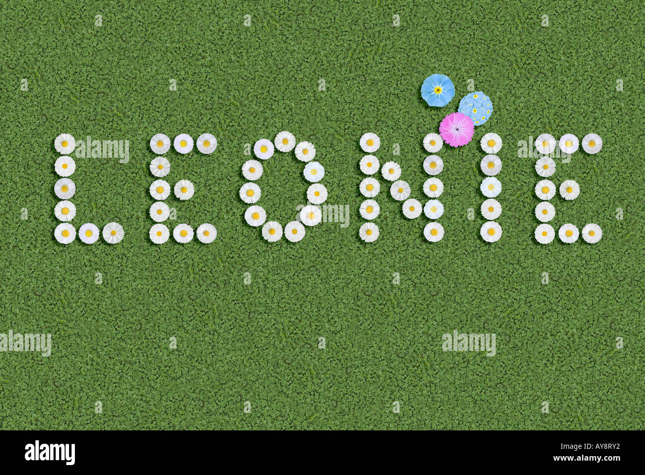 Leonie spelled out Stock Photo - Alamy