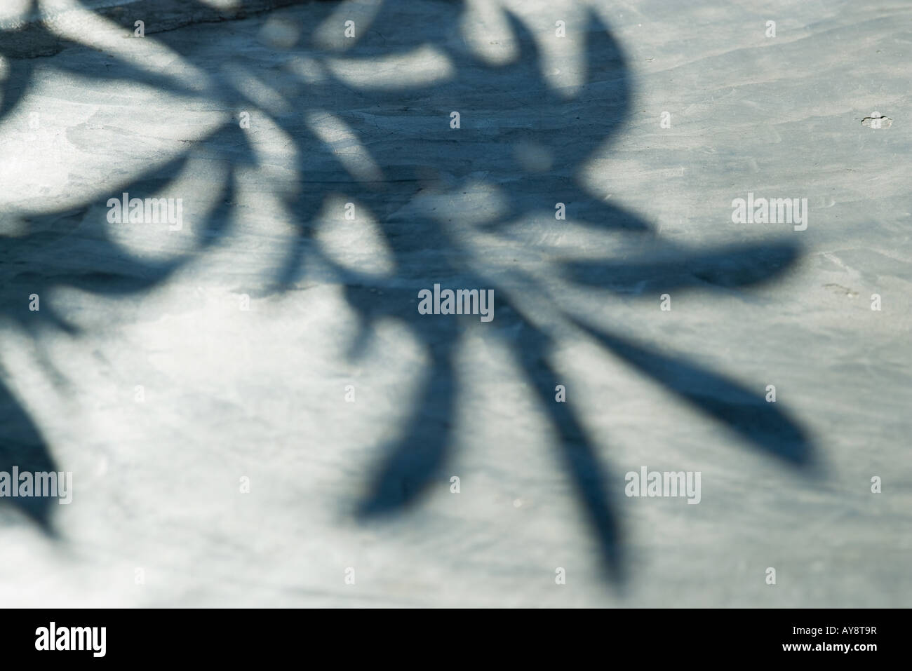 Ground Shadows High Resolution Stock Photography and Images - Alamy