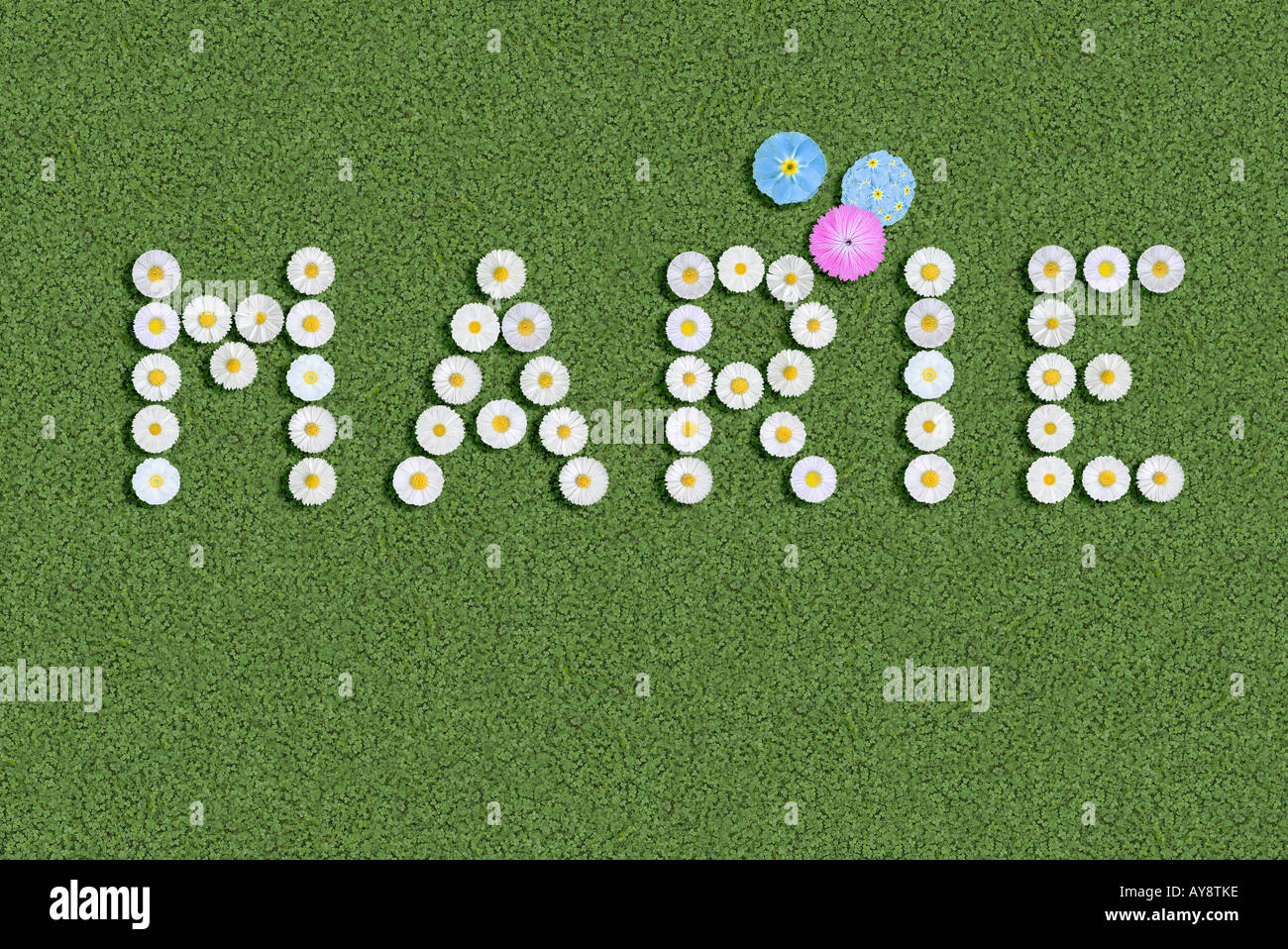 Marie Spelled Out Stock Photo Alamy marie-spelled-out-stock-photo-alamy