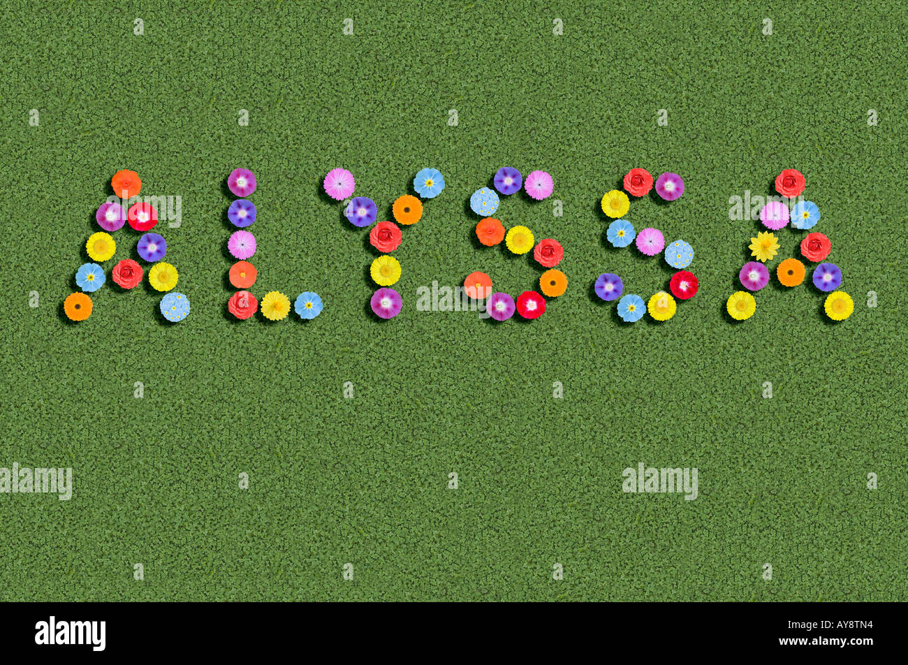 Alyssa name hi-res stock photography and images - Alamy
