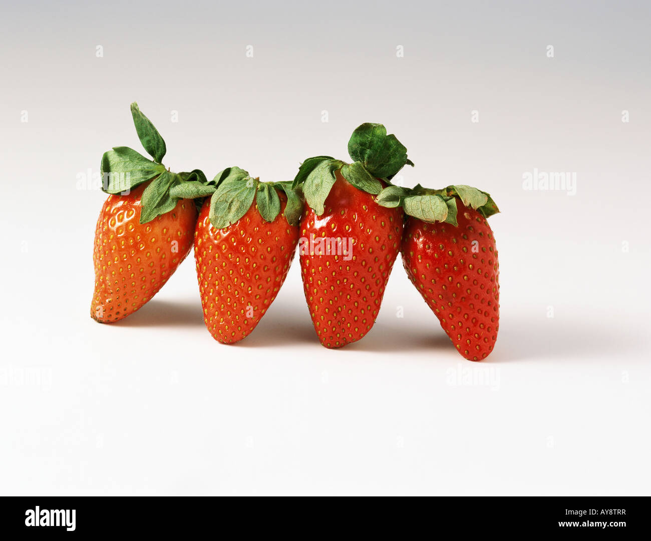 Four strawberries in a row Stock Photo - Alamy