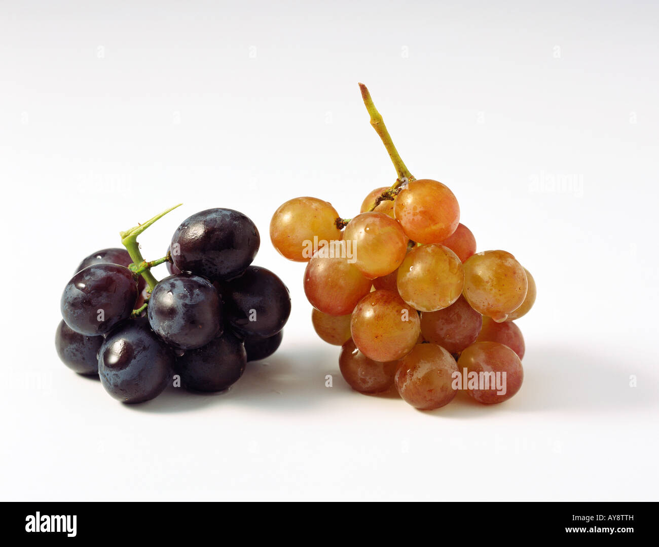 Purple and red grapes, close-up Stock Photo - Alamy