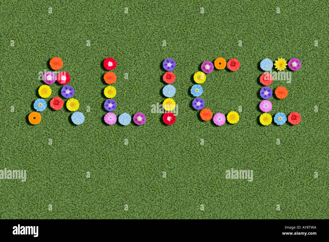 Alice name hi-res stock photography and images - Alamy