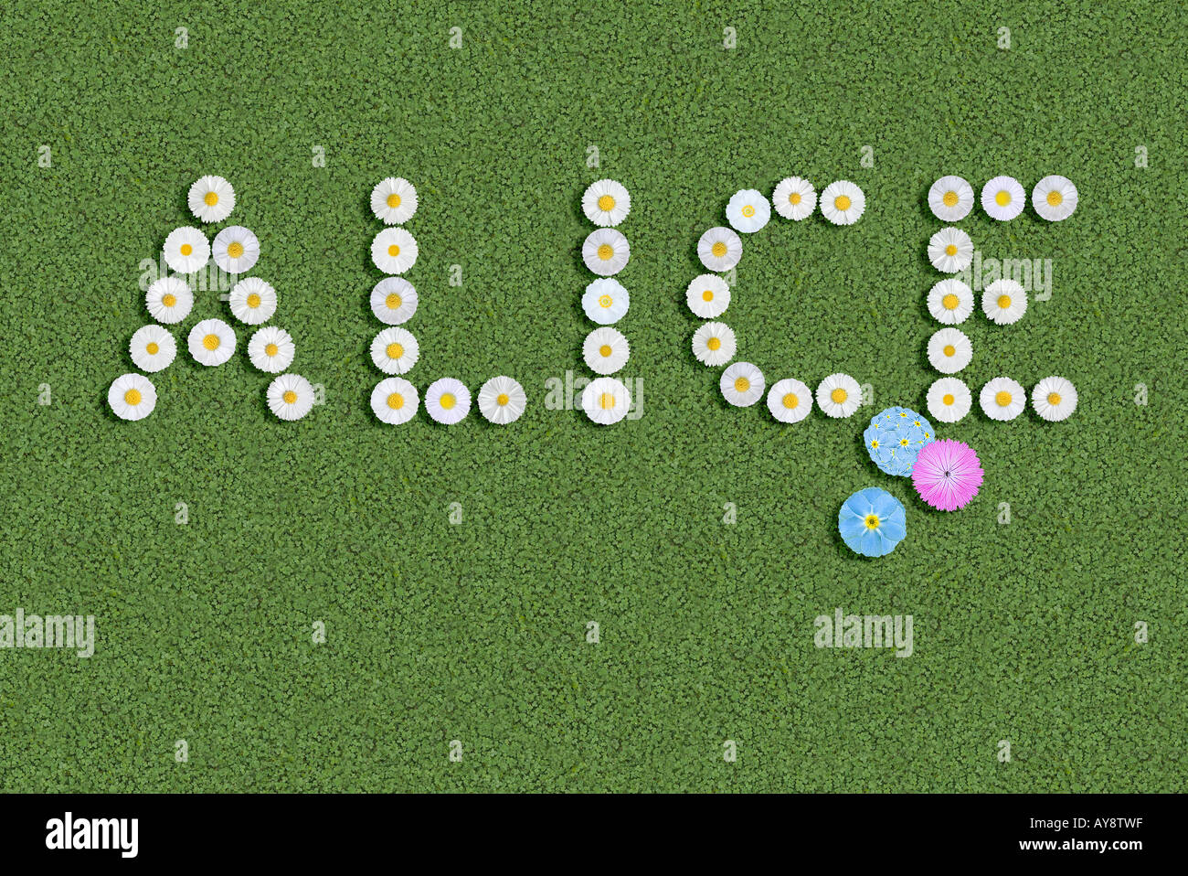Alice spelled out Stock Photo - Alamy