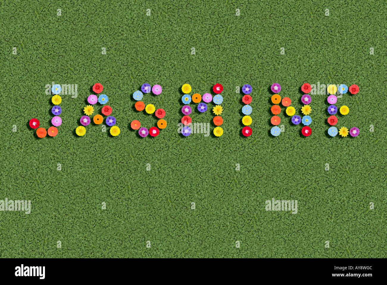 Jasmine spelled out Stock Photo - Alamy