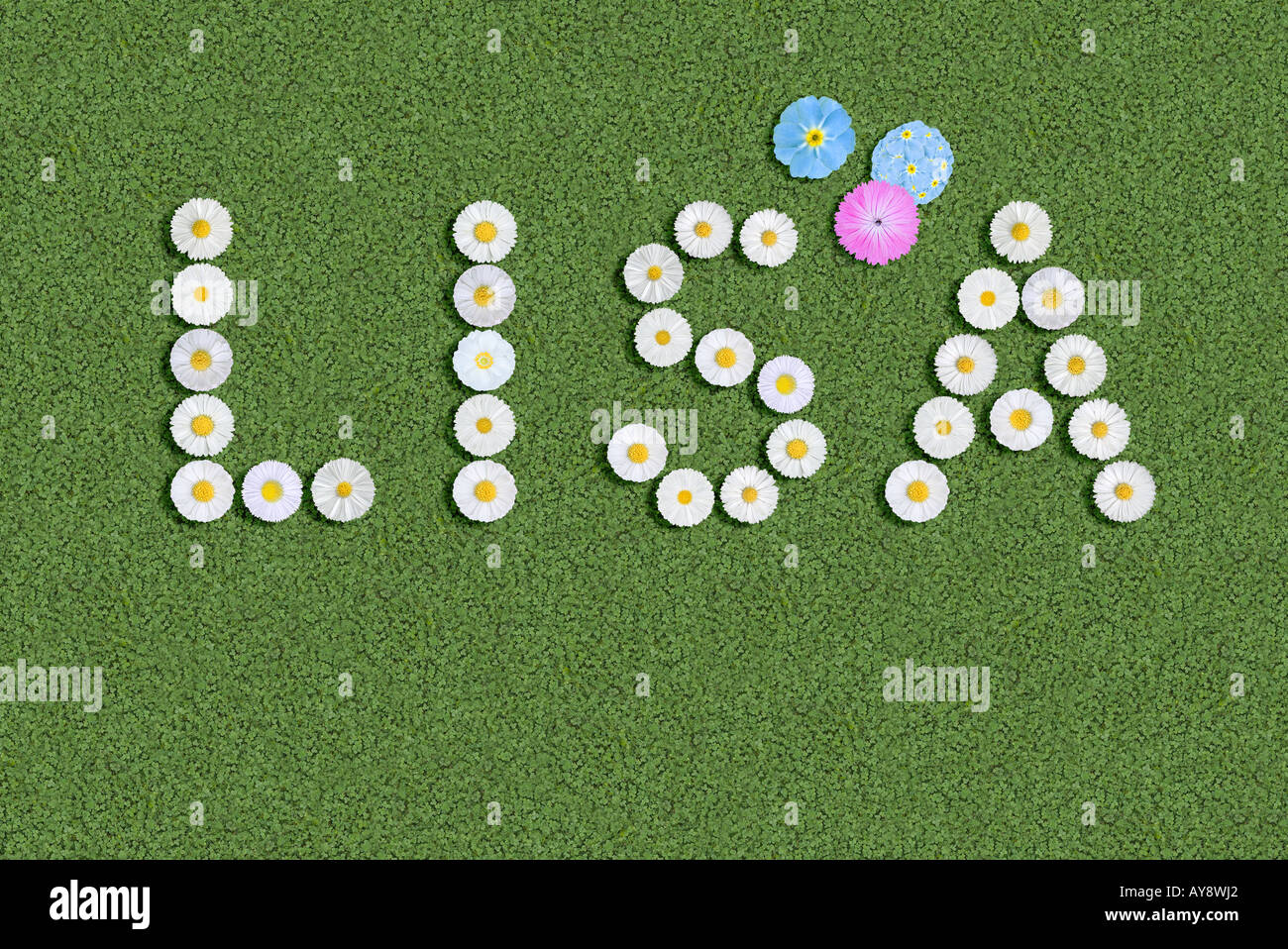 Lisa word hi-res stock photography and images - Alamy