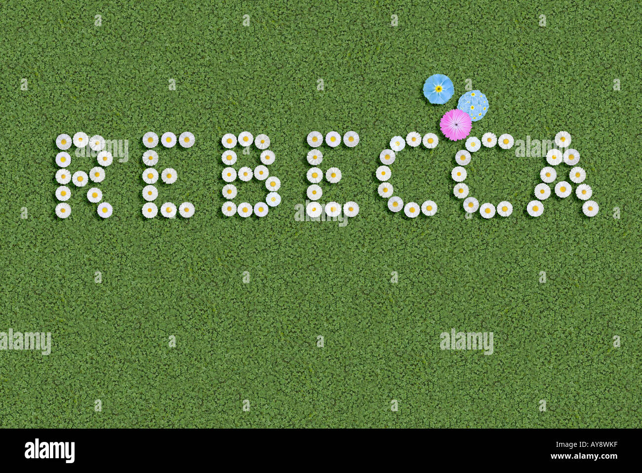 Rebecca spelled out prewritten edited Stock Photo - Alamy