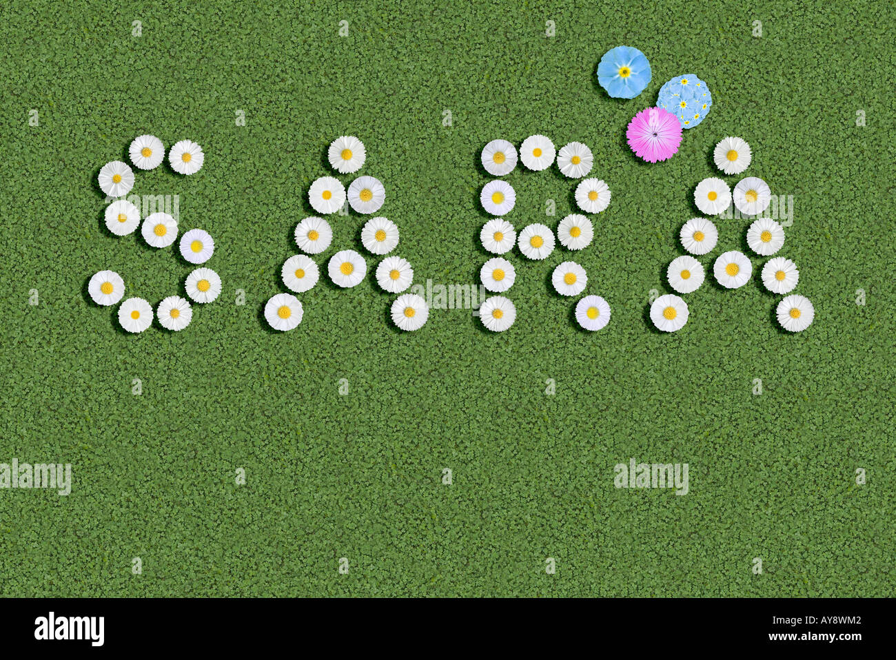 Prewritten hi-res stock photography and images - Alamy