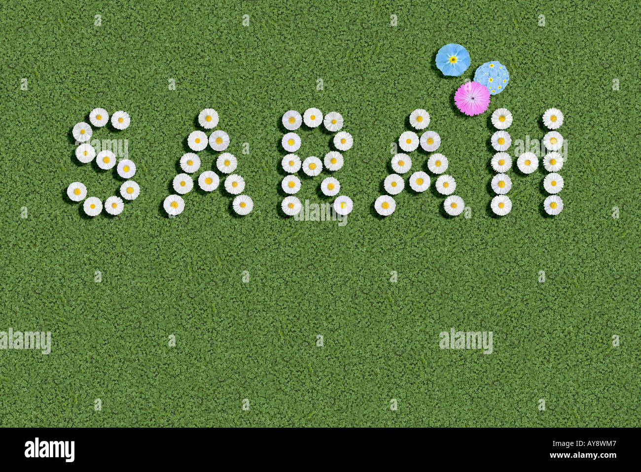 Sarah name hi-res stock photography and images - Alamy