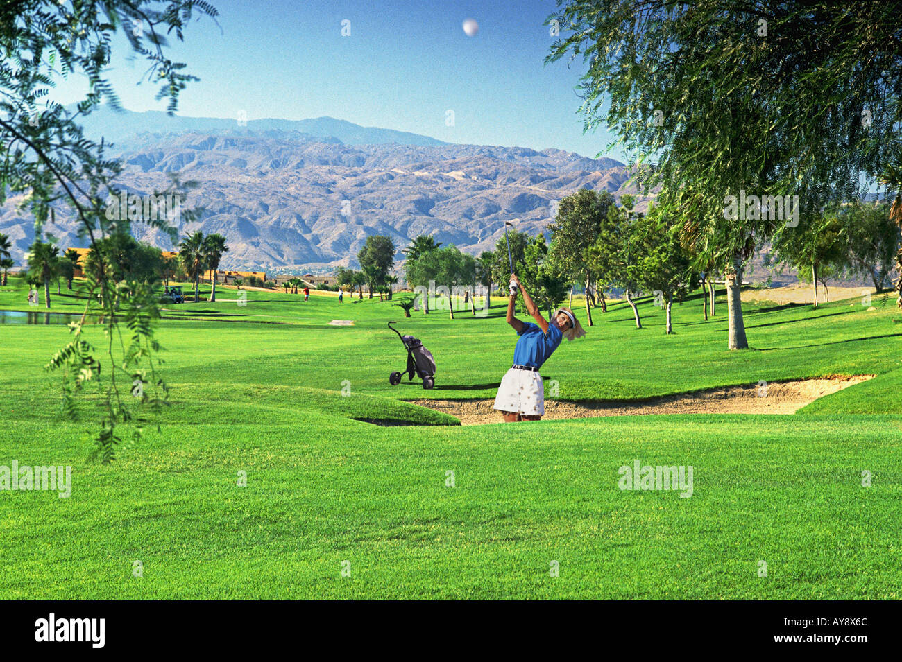 Desert princess country club golf course hi-res stock photography and ...