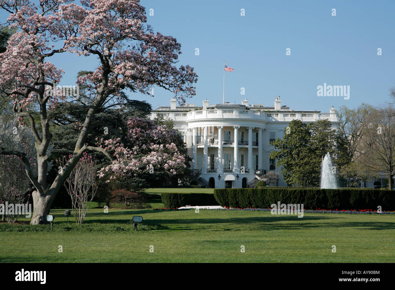 White House, Washington DC, USA Stock Photo - Alamy