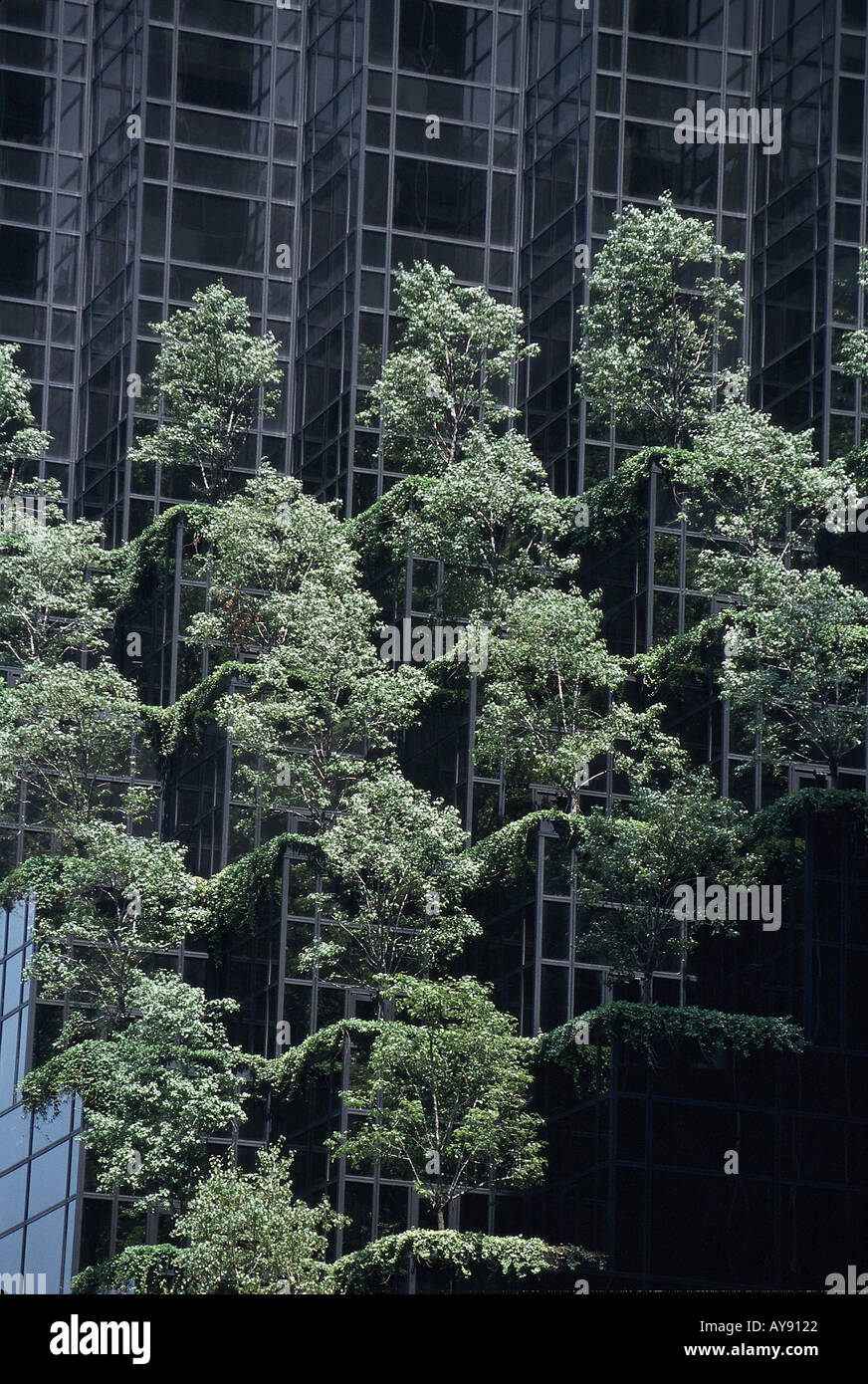 Trump tower trees manhattan hi-res stock photography and images - Alamy