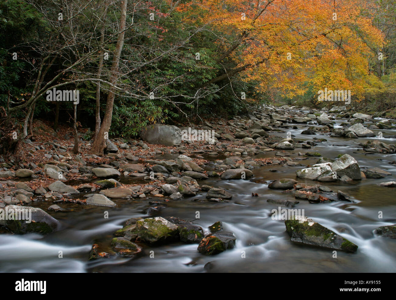Autumn Colors along the Little River in the Great Smoky Mountains ...