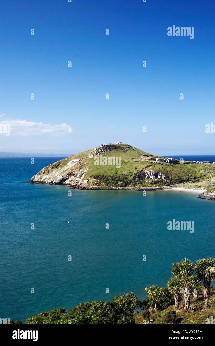 Taiaroa Head Albatross Colony and Entrance to Otago Harbour Otago ...
