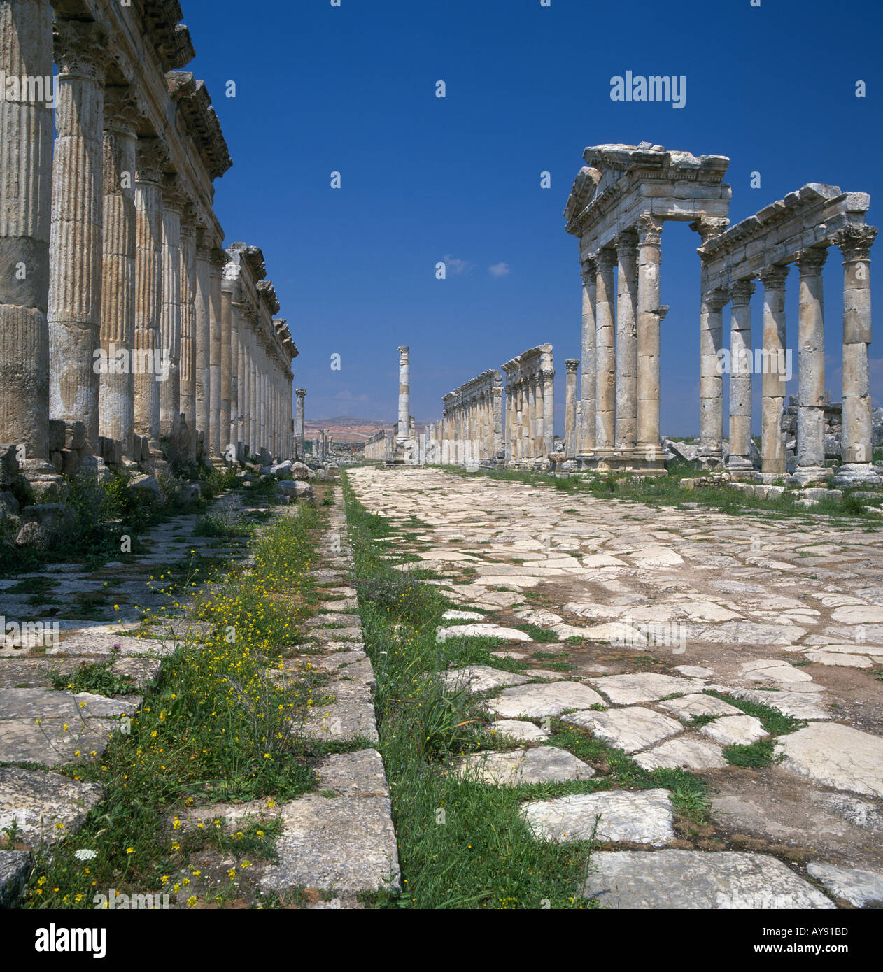 Apamea Syria Middle East Stock Photo - Alamy