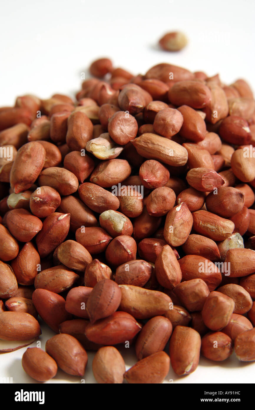 Raw peanuts, on a white background Stock Photo - Alamy