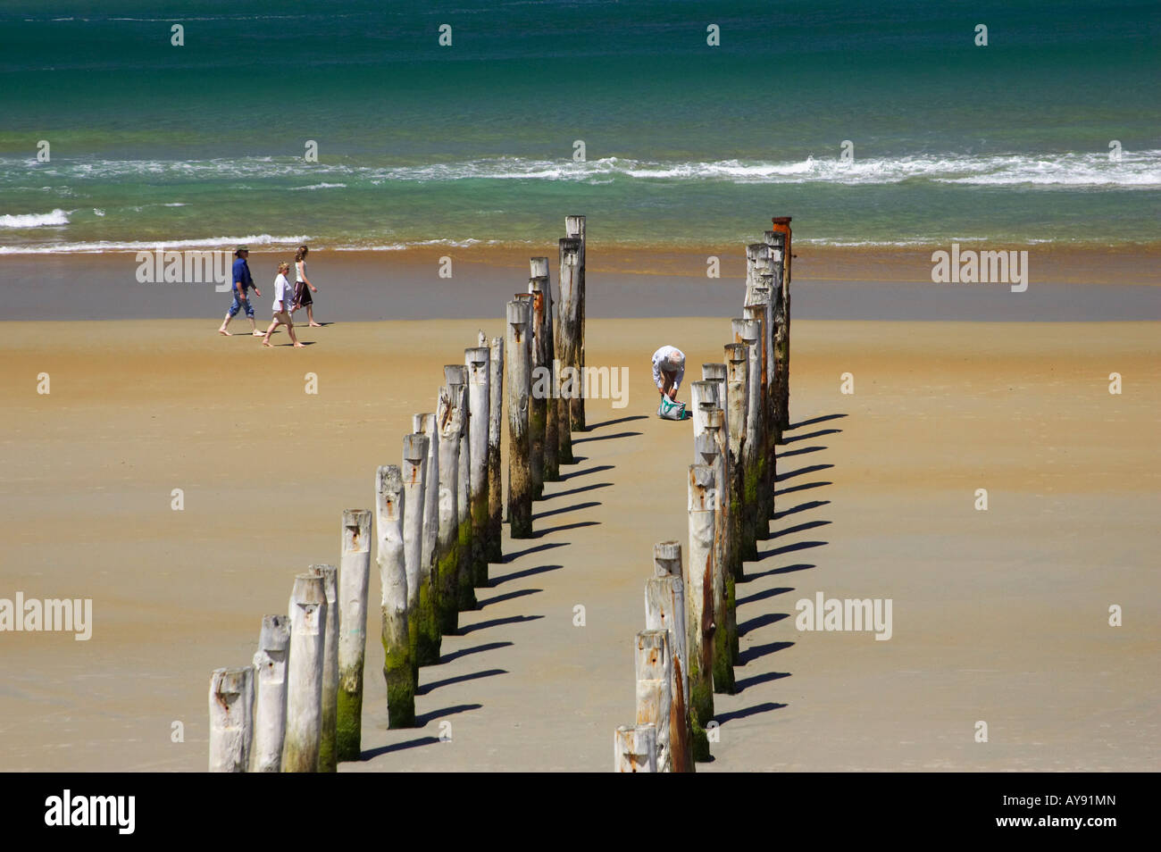 Old Pier Piles St Clair Beach Dunedin South Island New Zealand Stock ...