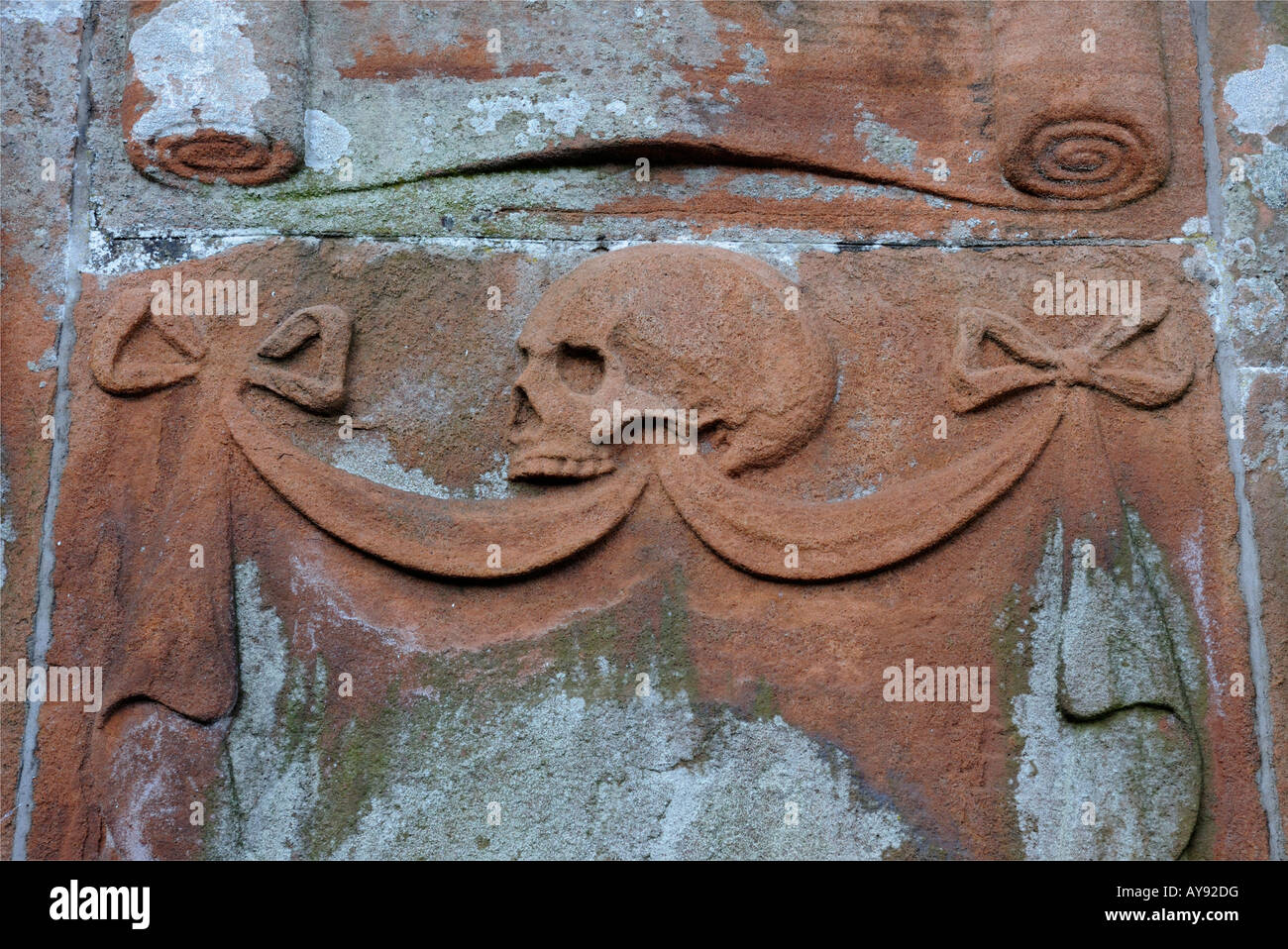 Skull detail hi-res stock photography and images - Alamy