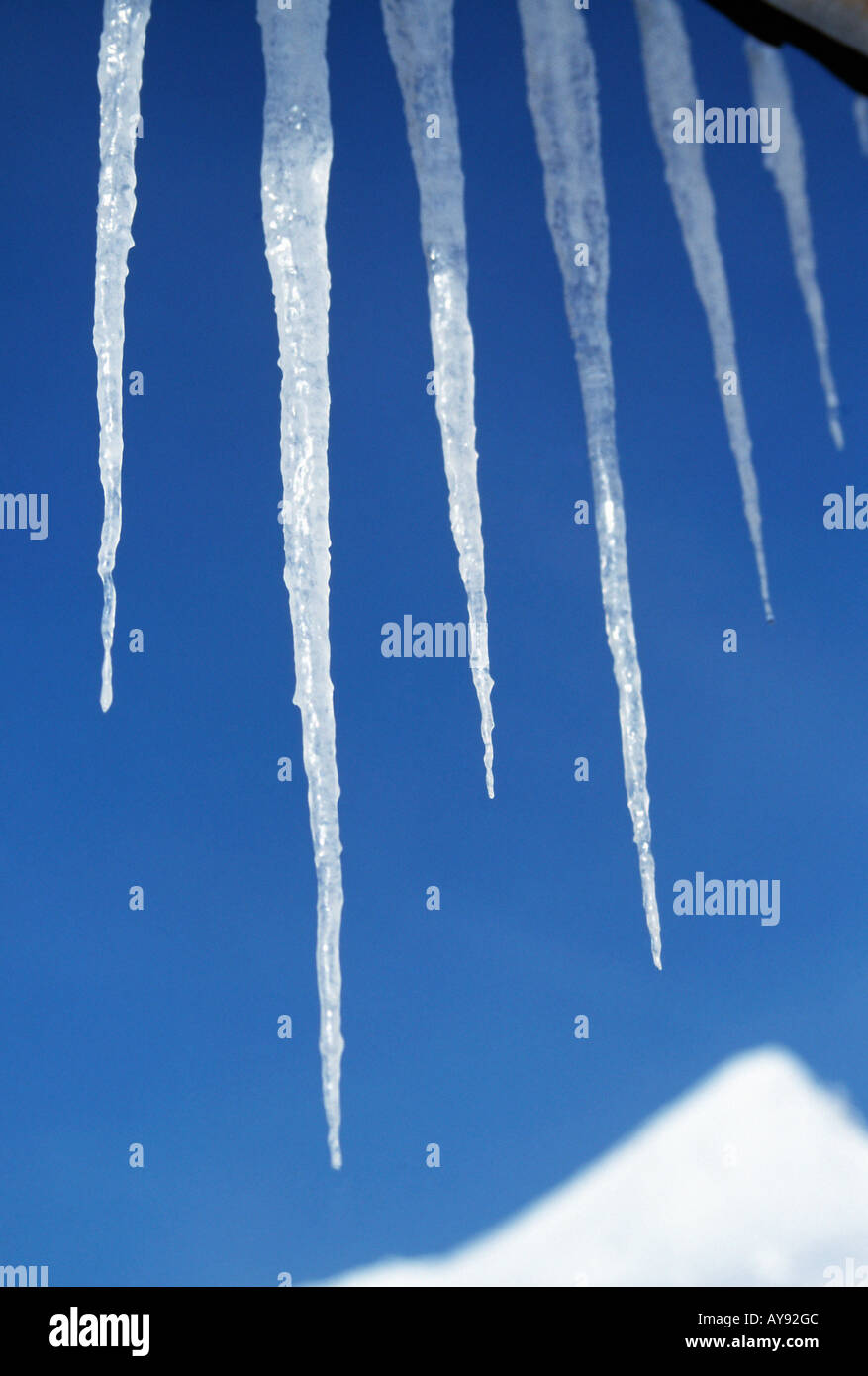 switzerland, klosters, sharp pencil like objects hang down from a snow ...