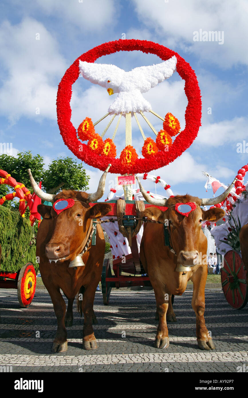 Holy ghost festival azores hi-res stock photography and images - Alamy