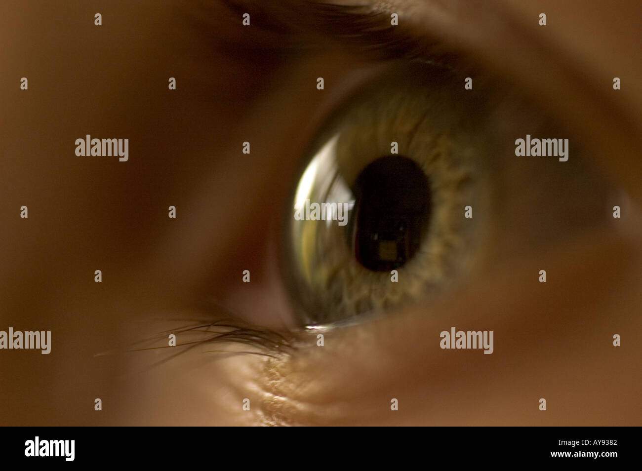Eye lid light hi-res stock photography and images - Alamy