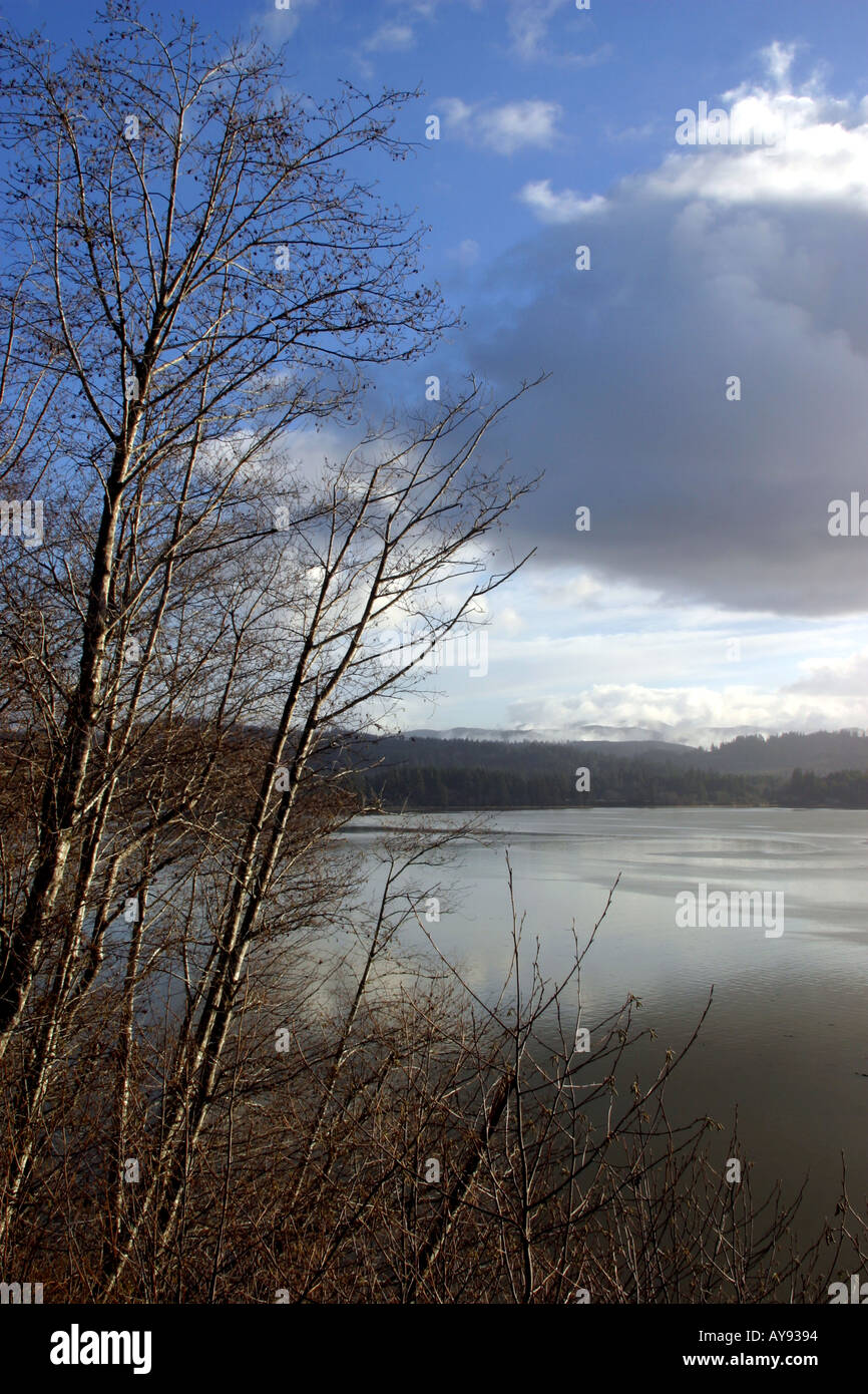 Alsea bay hi-res stock photography and images - Alamy