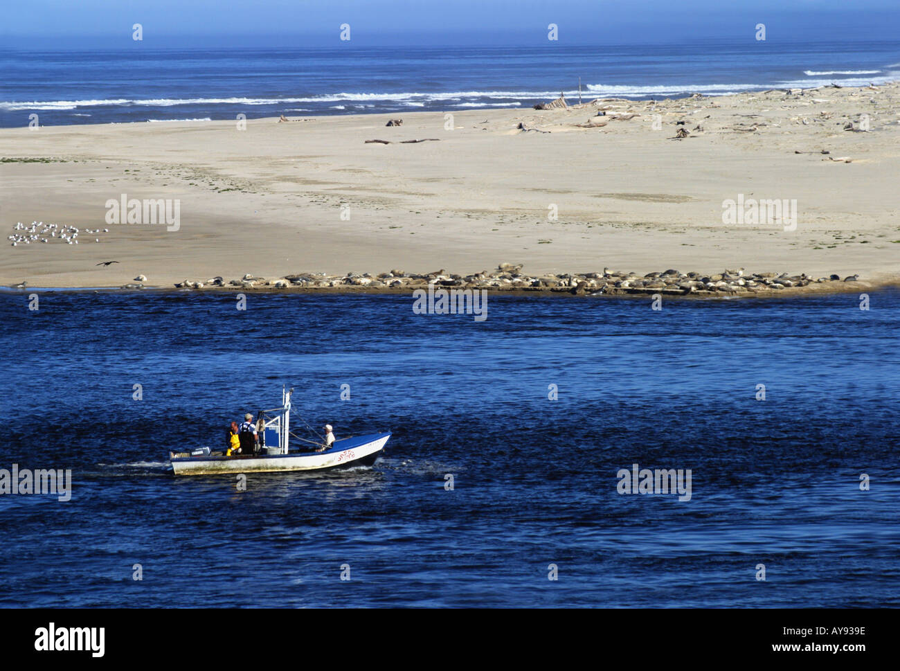 Fisherman in boat entering Alsea Bay in Waldport Oregon Stock Photo - Alamy