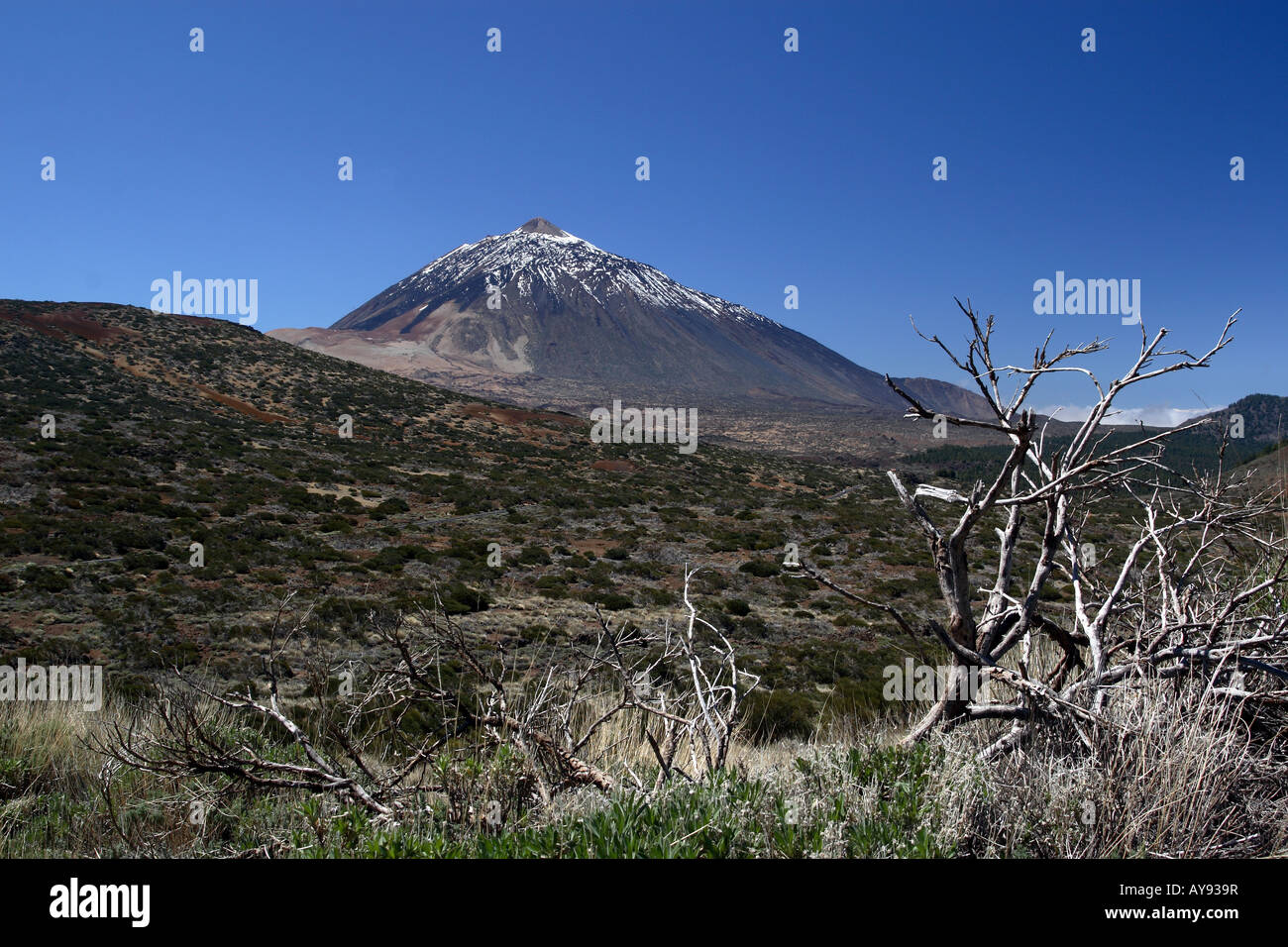 The dormant volcano of Mount Teide and the surrounding volcanic ...