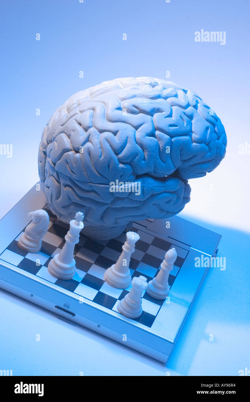 Human Brain Specimen and Chess Game Stock Photo - Alamy