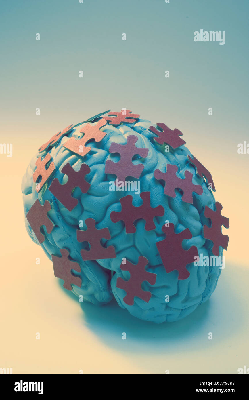 Human Brain and Puzzle Pieces Stock Photo - Alamy