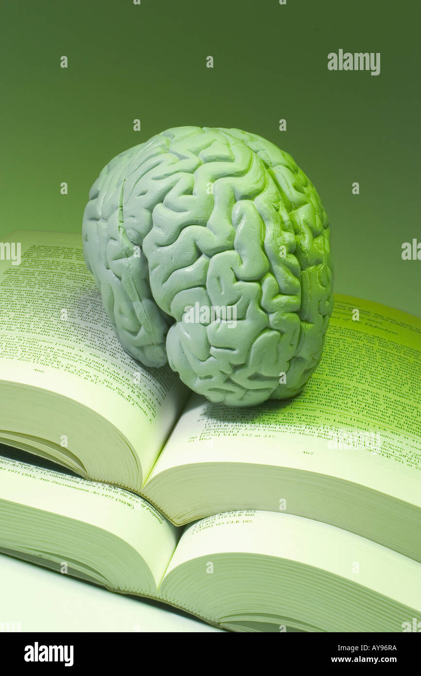 Human Brain and Books Stock Photo - Alamy
