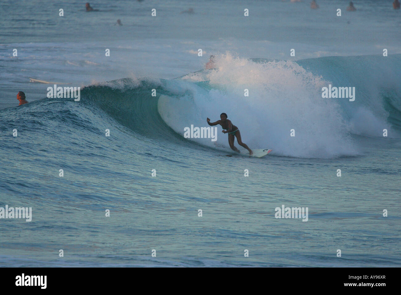 Surfer girl riding a wave hi-res stock photography and images - Alamy