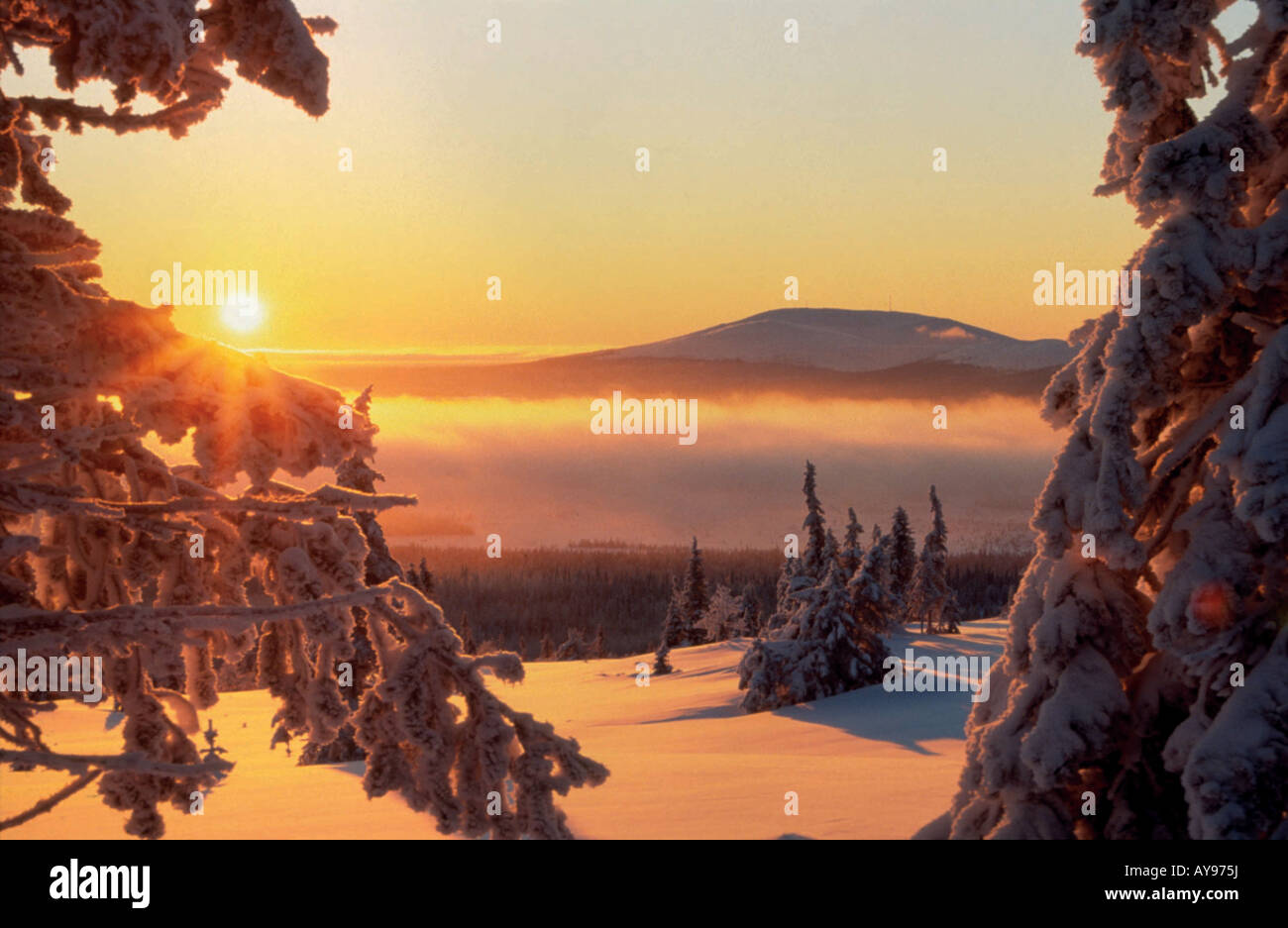 WINTER LANDSCAPE COVERED IN SNOW, FINLAND Stock Photo - Alamy