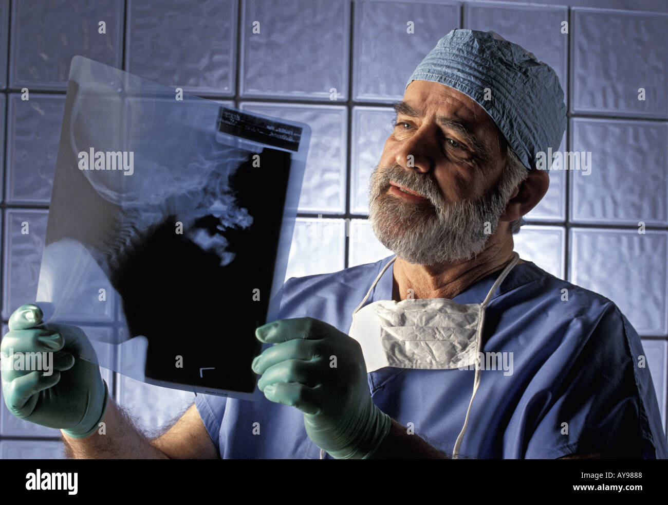 Surgeon examining Xray in operating rooms before surgery Stock Photo ...