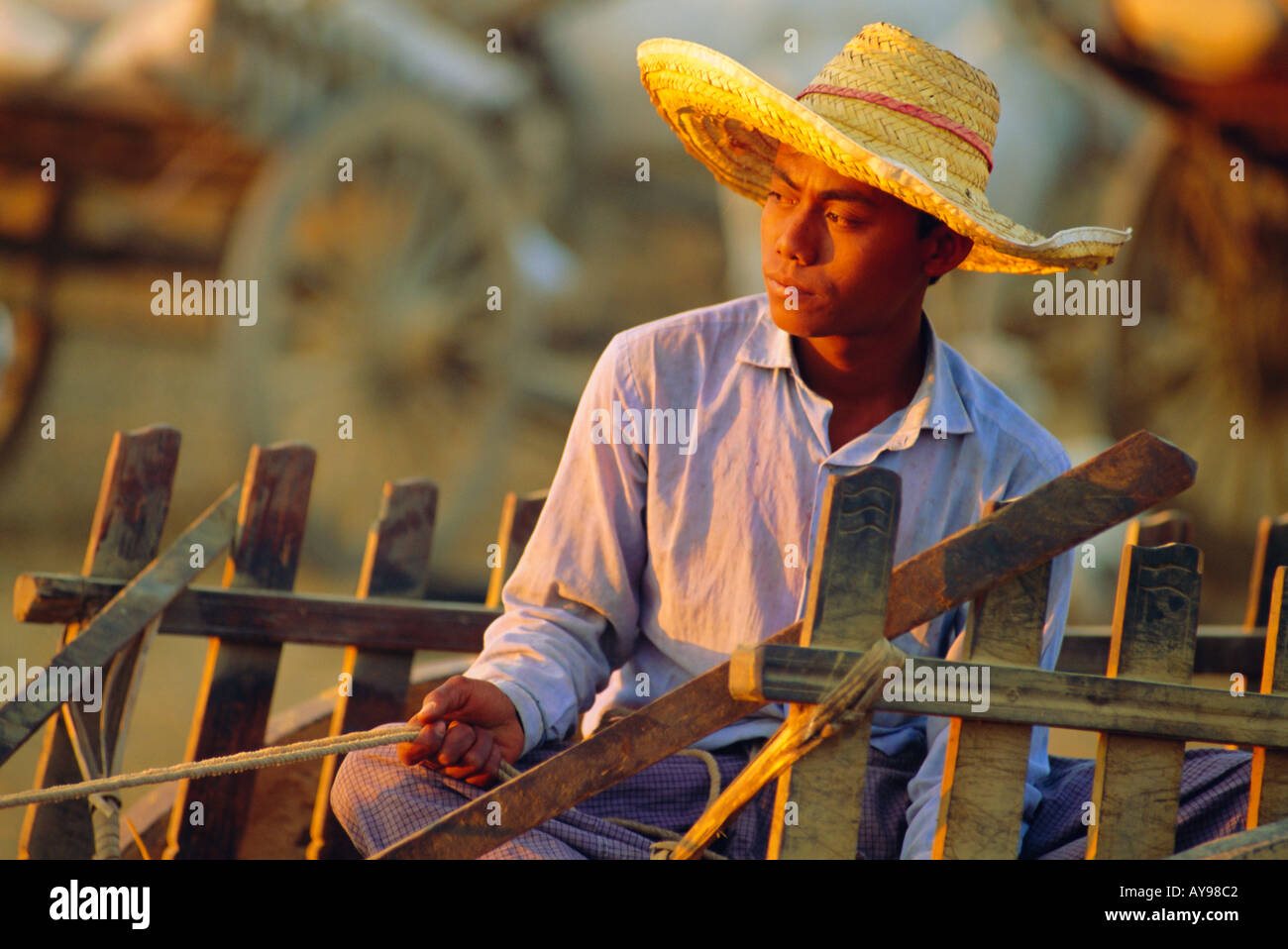 Bullock cart driver Myanmar Asia Stock Photo - Alamy
