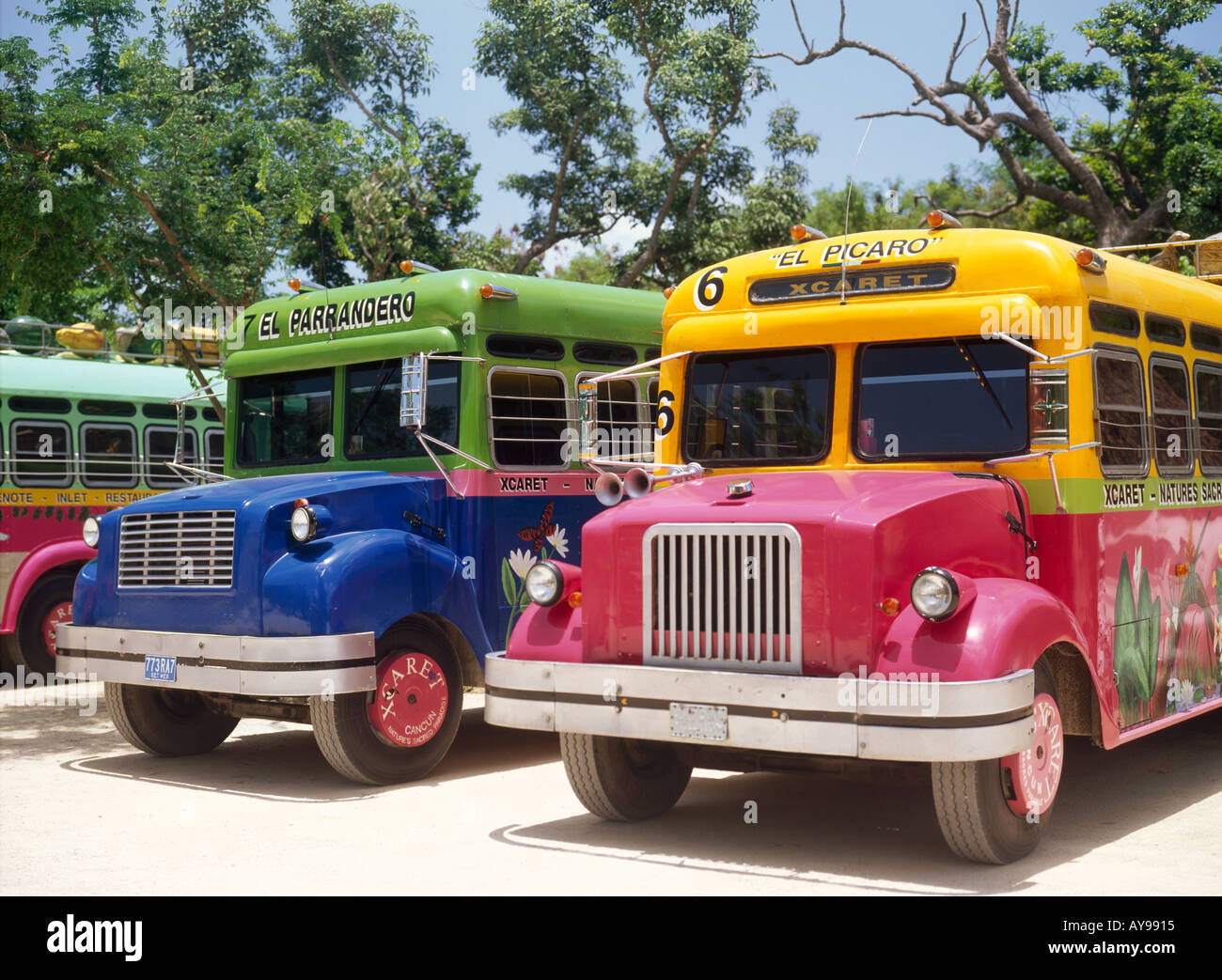 Custom painted buses Mexico Stock Photo - Alamy