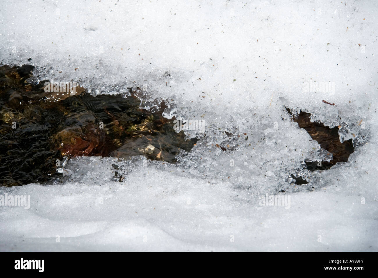 Spring thaw hi-res stock photography and images - Alamy