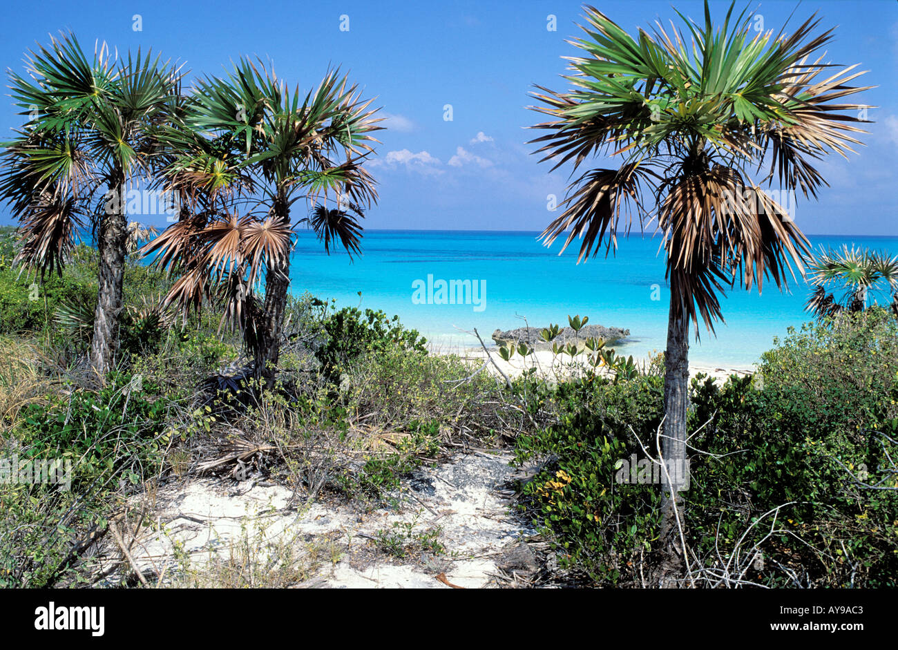 Beach cayo guillermo cayo coco hi-res stock photography and images - Alamy