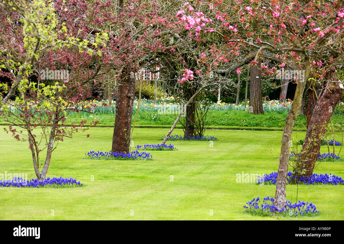 Newnham college gardens gardens hi-res stock photography and images - Alamy
