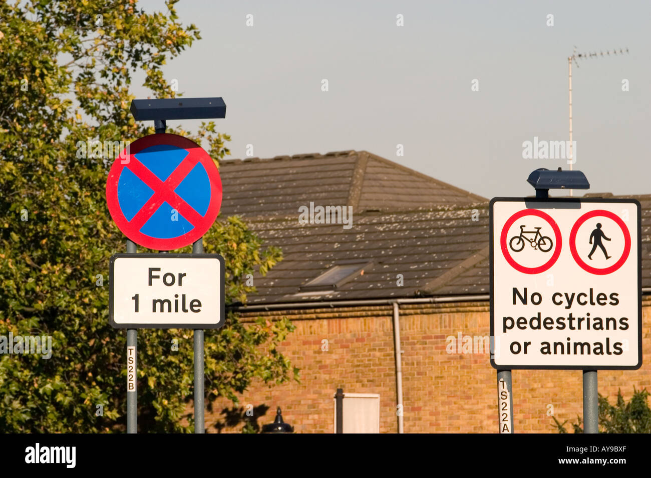 no stopping for 1 mile one road sign Stock Photo - Alamy