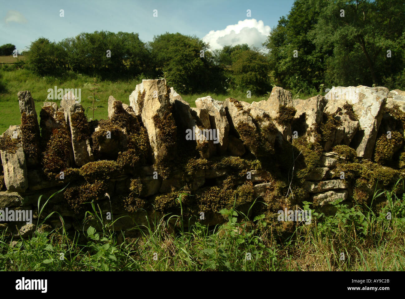 cotswold stone wall with moss Cotswolds Gloucestershire England UK ...